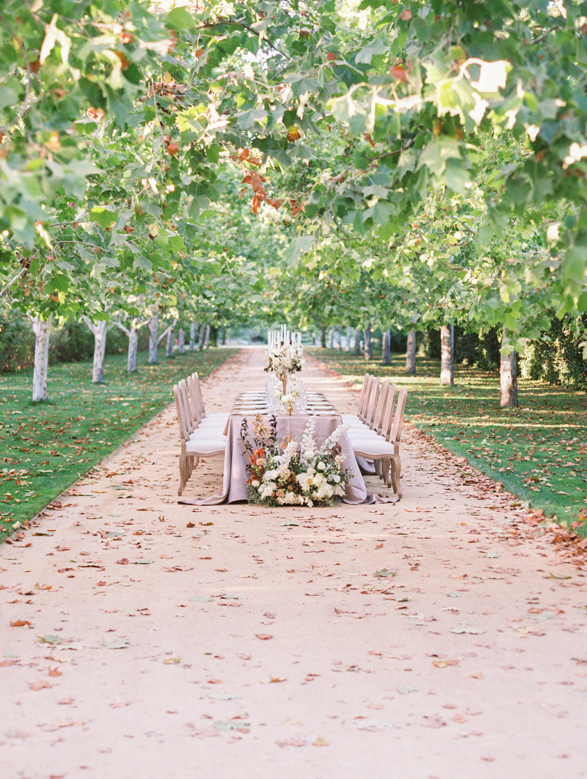 Eden & Hailey | Carmel, California - amandacallawayphotography.com